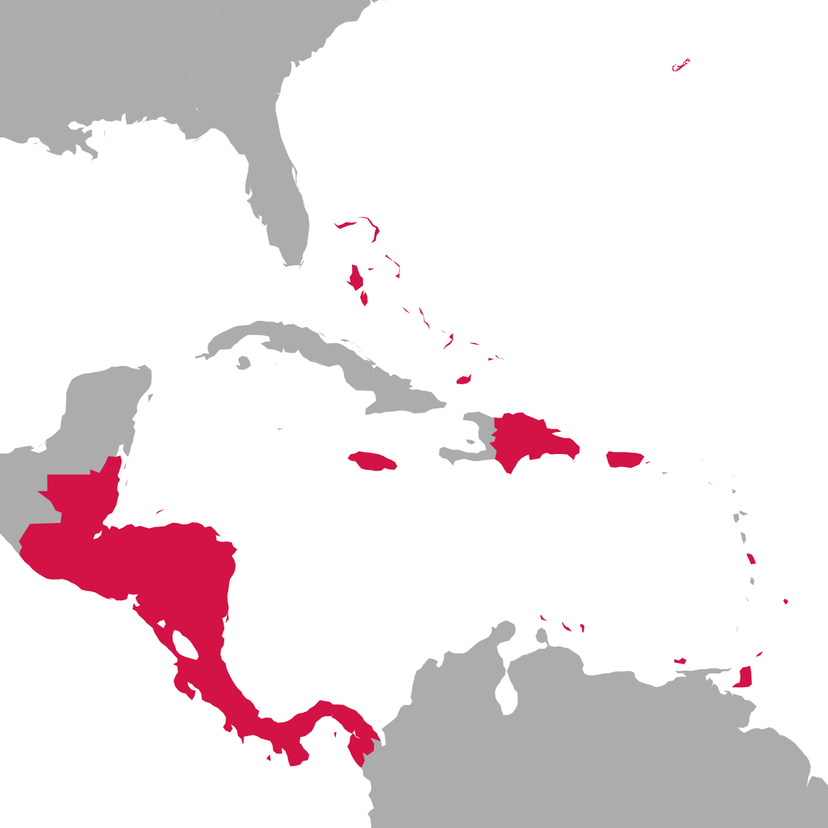 América Central y el Caribe - Rich MX